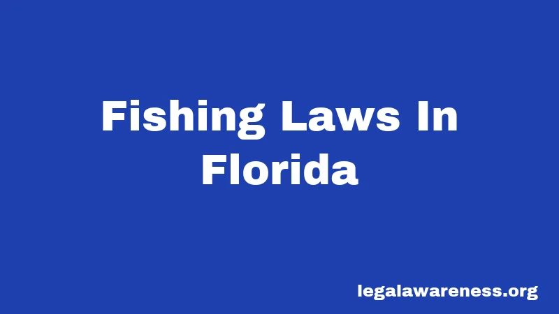 Florida Fishing Laws In 2026: Your Complete Guide To Staying Legal